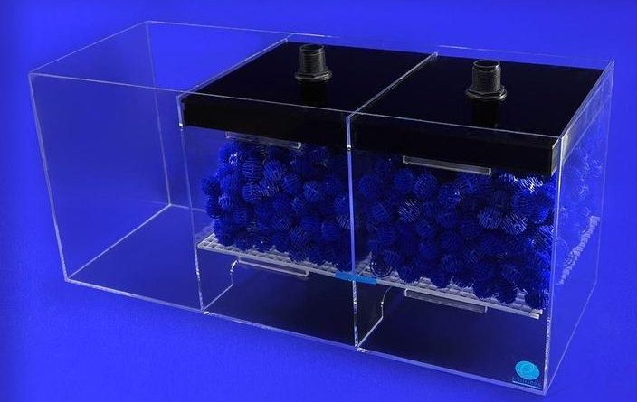 Best Filters For Discus Fish | Discus.com