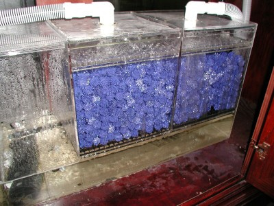 Filtration Basics – Discus.com