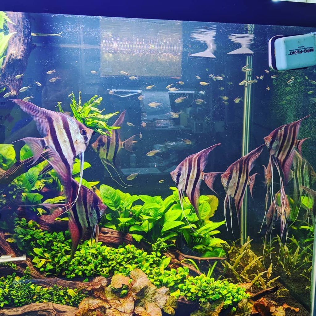 Our Facility | Discus.com